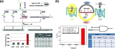 a and gate execution based on a ph‐dependent dna triplex‐helix