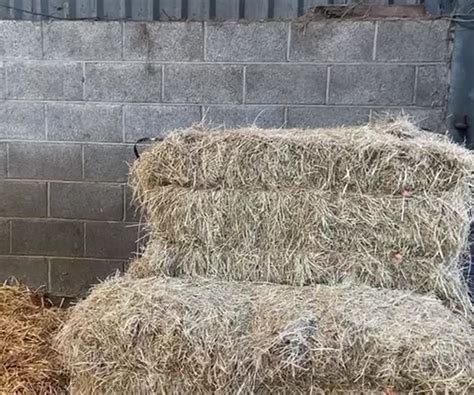The Farming Community Network On Linkedin Farm24 Farminghelp