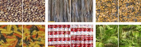 3 Each Pair Of Images Consists Of The Original Texture Exemplar On The