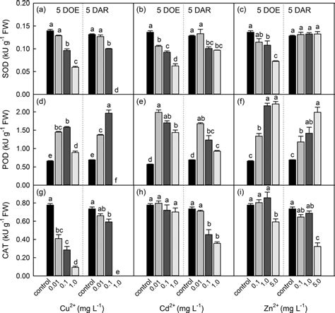 Activity Of Superoxide Dismutase SOD A C Guaiacol Peroxidase POD