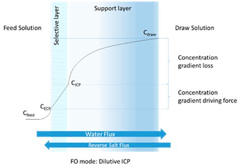 Reverse Salt Flux Effect On Dewatering Chlorella Vulgaris In A Forward Osmosis System