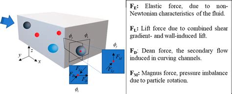 Figure 1 From Advances In Computational Fluid Mechanics In Cellular Flow Manipulation A Review