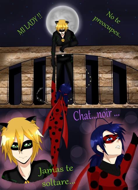 Espero Y Les Guste Chat Noir X Ladybug