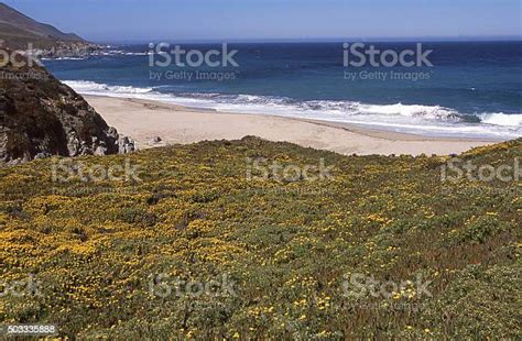 스택스 중단시키지 모랫빛 인명별 플라주 Big Sur 태평양 애니조나 0명에 대한 스톡 사진 및 기타 이미지 0명 경관