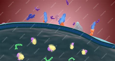 Premium Photo Platelet Activation And Aggregation Play An Important