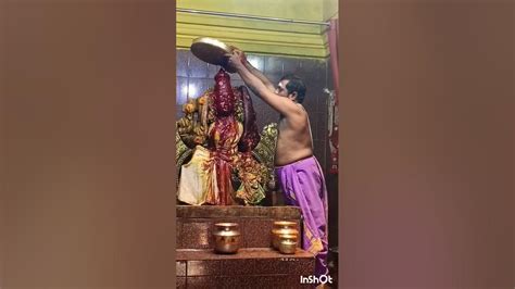 శ్రీ శ్రీ రాజా రాజేశ్వరి దేవి అమ్మవారు🙏 Shorts Diml Viral Ammavaru Pooja Devi Trending Reels