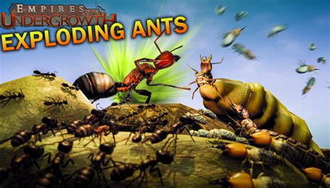 Acheter Empires Of The Undergrowth Exploding Ants Pc And Mac Latin