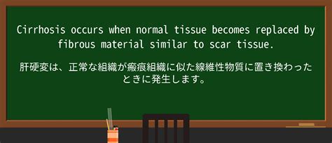 【英単語】normal Tissueを徹底解説！意味、使い方、例文、読み方 おもしろい英文法