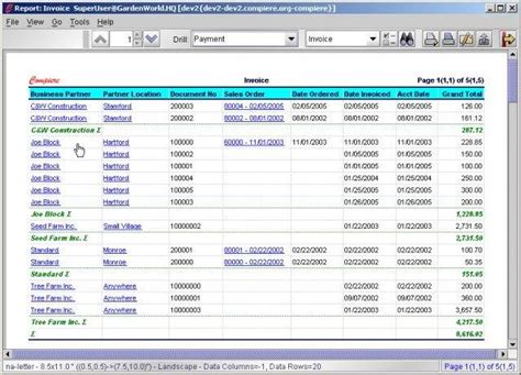 Compiere ERP Consulenza E Assistenza