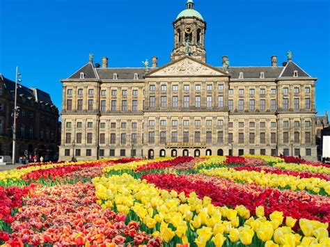 Piazza Dam Amsterdam Cosa Vedere Mappa E Come Arrivare