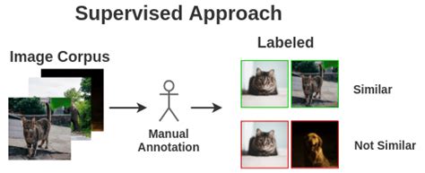 The Illustrated Simclr Framework