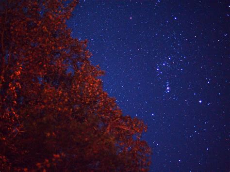 澄んだ空に星たちが輝く By Umeピヨ♪ （id：2815990） 写真共有サイトphotohito