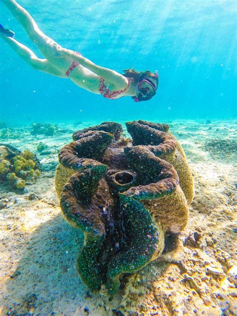 Jetstars Cook Islands Direct Flight Makes Island Paradise Much Closer