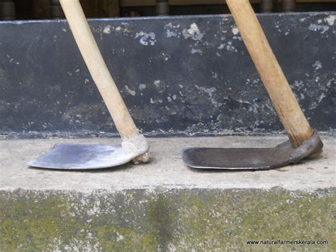 Knife Natural Farmers Kerala