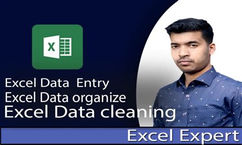data entry offline online excel data sorting web scraping by