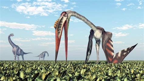 Craziest Dinosaur Discovered Yet