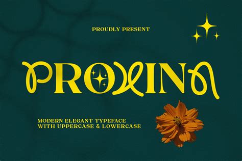 Proxina Serif Font Fontsera