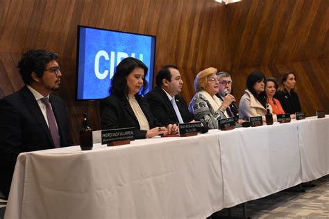 ABI Gobierno destaca la amplia apertura de la misión de la CIDH para