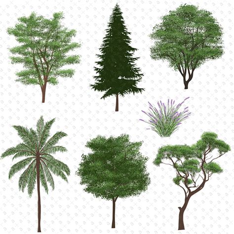 竞赛风植物素材