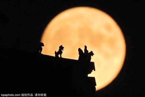 赏花灯闹元宵，北京今夜浪漫的“星月童话”