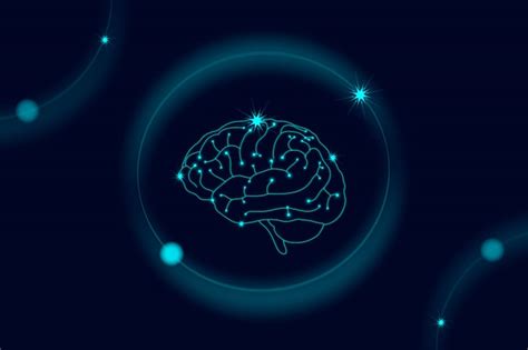 Sistema Nervioso Humano Vector Gratis