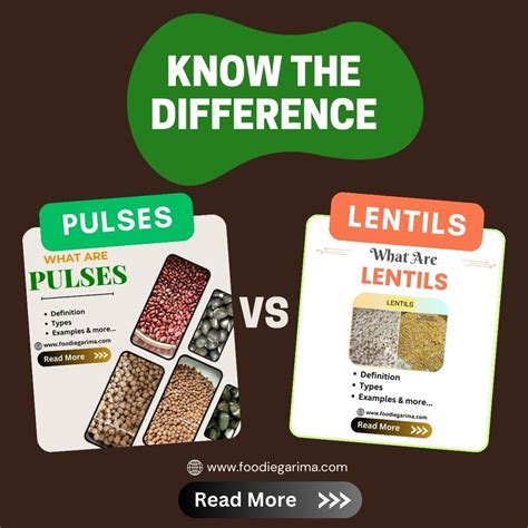 Pulses Vs Lentils Know The Differences Foodie Garima