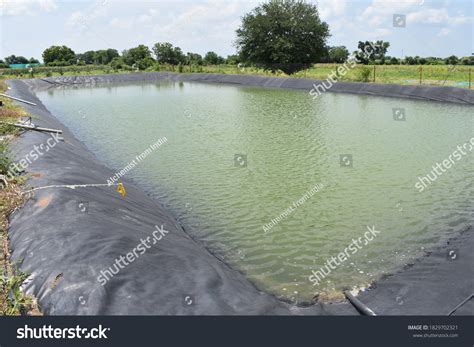 Man Made Ecosystem 495 Images Photos Et Images Vectorielles De Stock Shutterstock