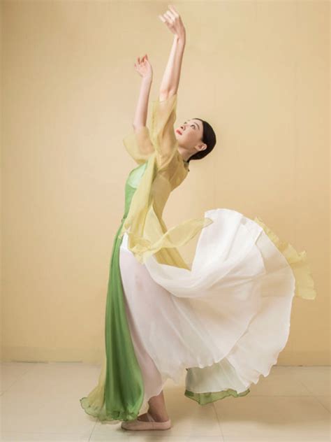 Classical Dance Costume Elegant Female Gauze Dress Training Costume