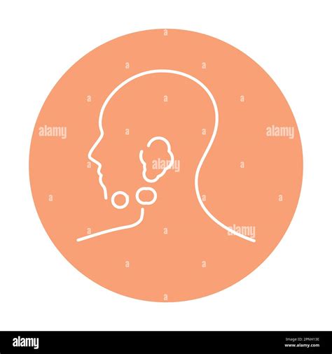 Lymph Nodes Human Stock Vector Images Alamy