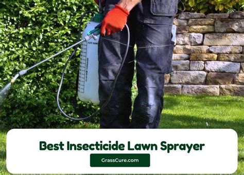 5 Best 1 Gallon Pump Sprayers Of 2025 Grass Cure