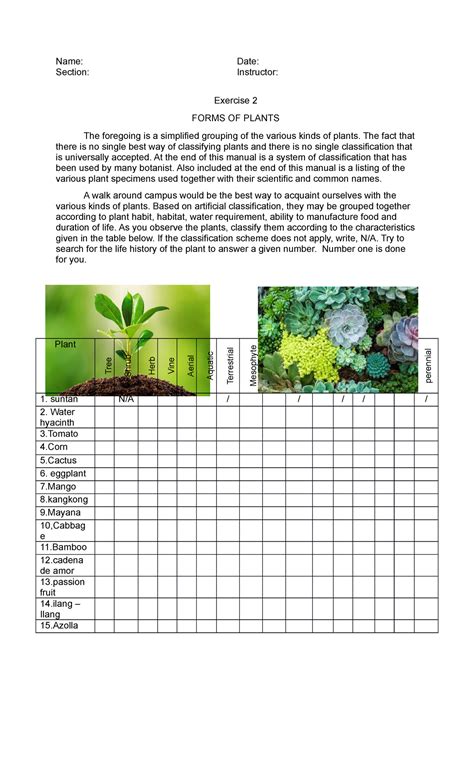 Plant Classification Activity Name Date Section Instructor