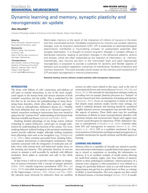 Pdf Dynamic Learning And Memory Synaptic Plasticity And Neurogenesis An Update