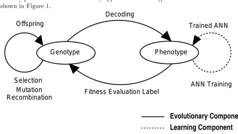Process Of Evolutionary Design Of Artificial Neural Networks
