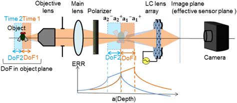 Extending Dof Of Light Field Microscope By Montaging Light Field Image