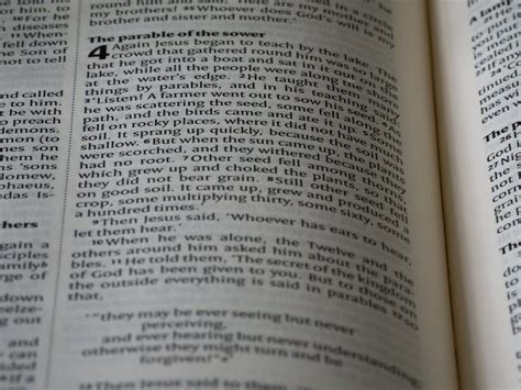 Irc Section 267 Related Party Transaction Disallowance Rules Guide