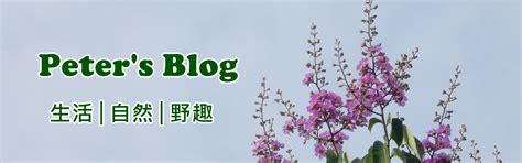 Peter s Blog 與二十四節氣有關之諺語