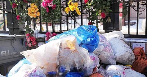 철원 설연휴 쓰레기 없는 쾌적한 도시 조성