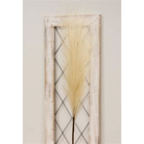 Pampas Grass Pick 28 Natural