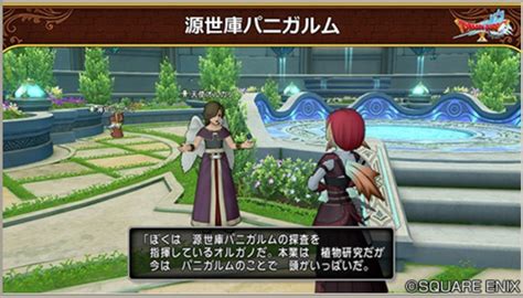 週課の量の見直しが求められている！？（源世庫パニガルム） ドラクエ10攻略 ラグナのブログ