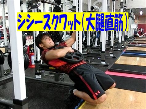トレーニング動画【大腿四頭筋】