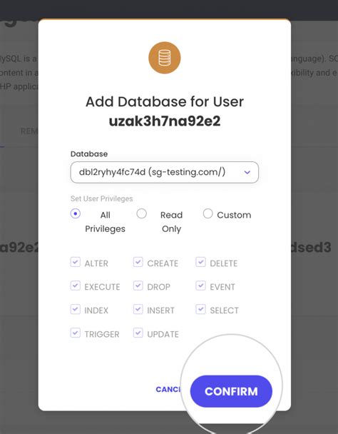 My Siteground Account