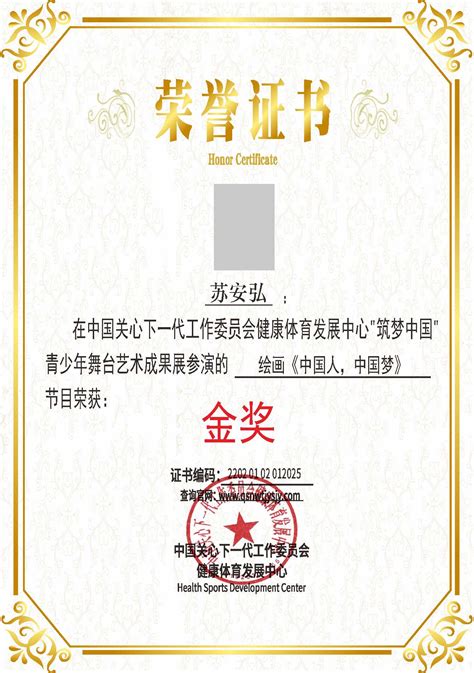 苏安弘22020102012025 筑梦中国青少年美育教育