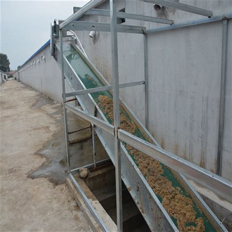 Poultry Manure Removal System Livi Chicken Cage And Poultry Rearing