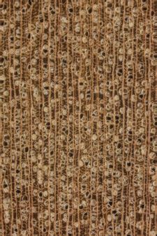 Abura The Wood Database Hardwood