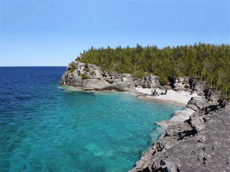 Upcoming Forum To Focus On Biodiversity Of Saugeen Bruce Peninsula