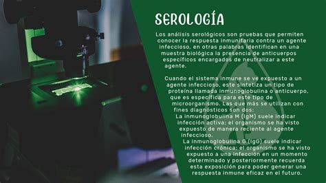 Serología