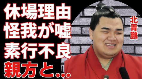 北青鵬の”怪我で休場”が嘘だった！？本当の休場理由が親方との不穏な関係と噂される真相に言葉を失う北青鵬の規格外の立ち回りに豊ノ島を驚愕
