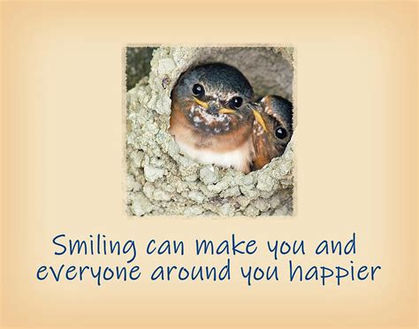 Smiling Swallows Digital Art By Jeanne Gadol Fine Art America
