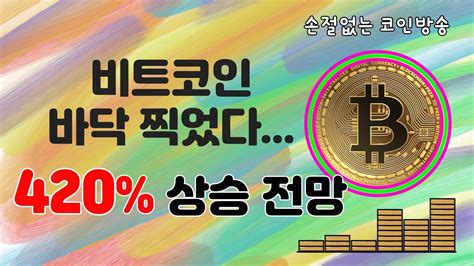잘 키운 비트 1개 열 알트 안부럽다코인 투자시 비트는 선택 아닌 필수 이더리움 아더 메탈 하이파이 비체인