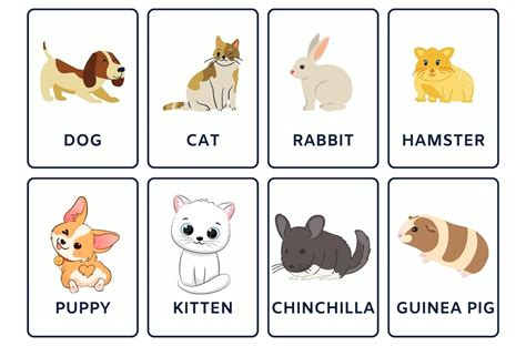 5 Cách Học Tiếng Anh Cho Bé 5 Tuổi Hiệu Quả Apollo English